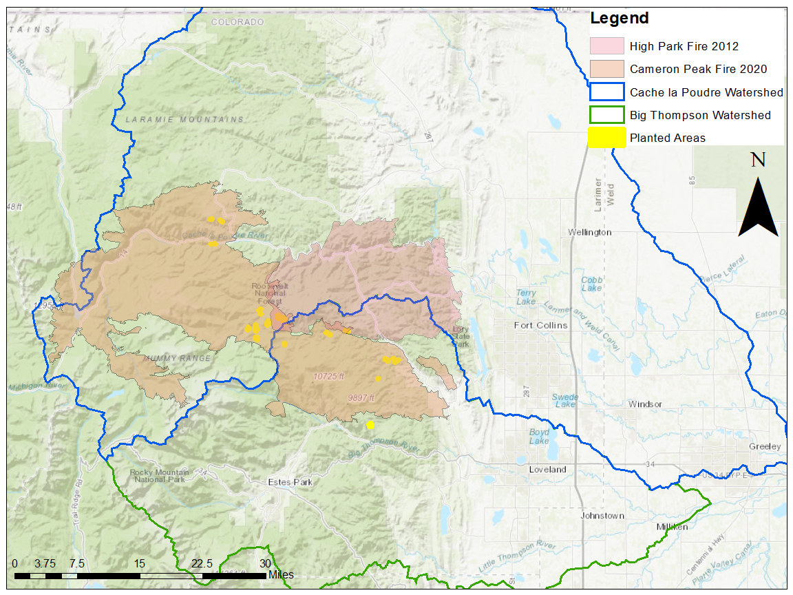 Coalition for the Poudre River Watershed-Reforestation