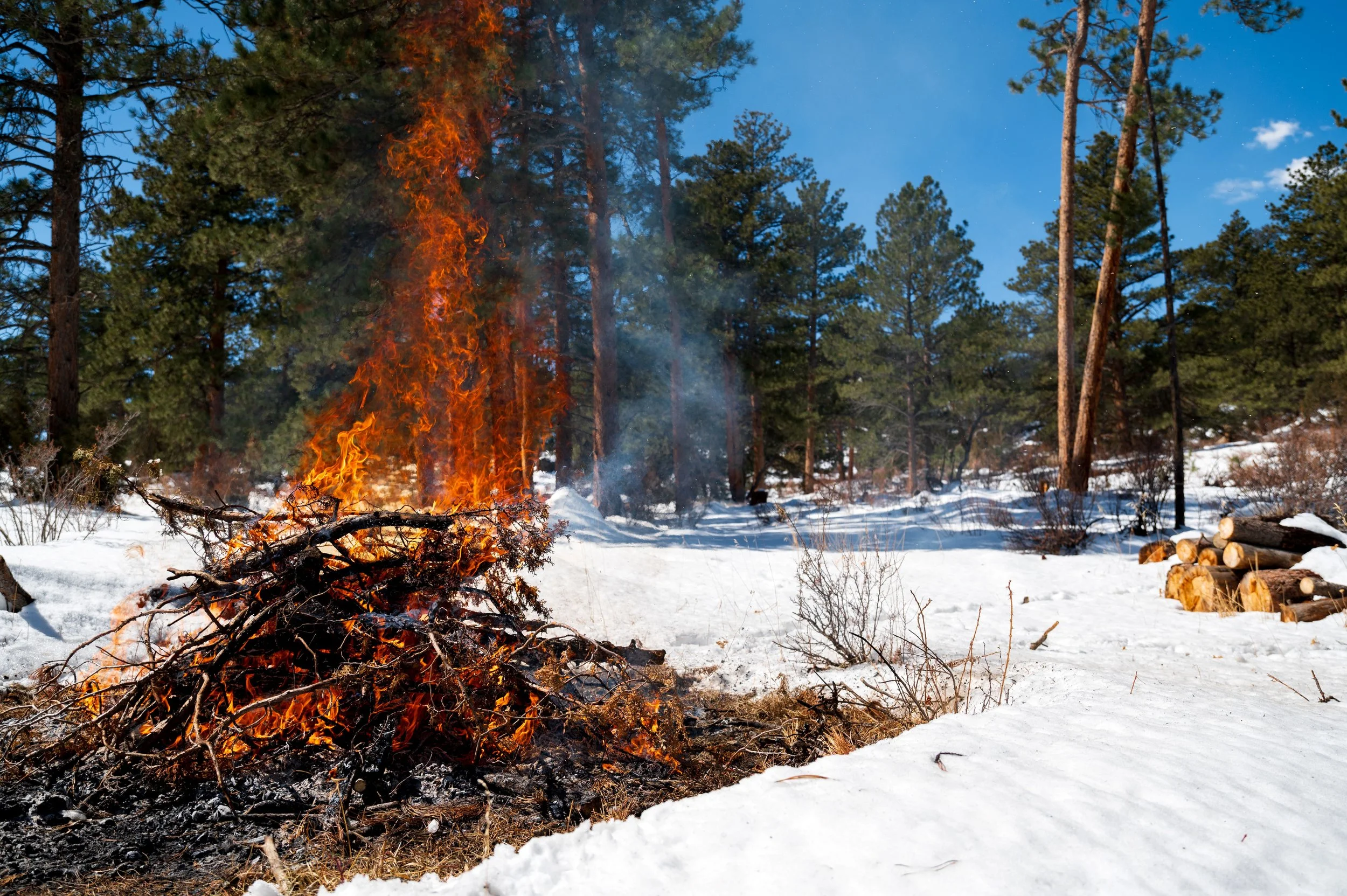 Coalition for the Poudre River Watershed-Collaborating for More ...