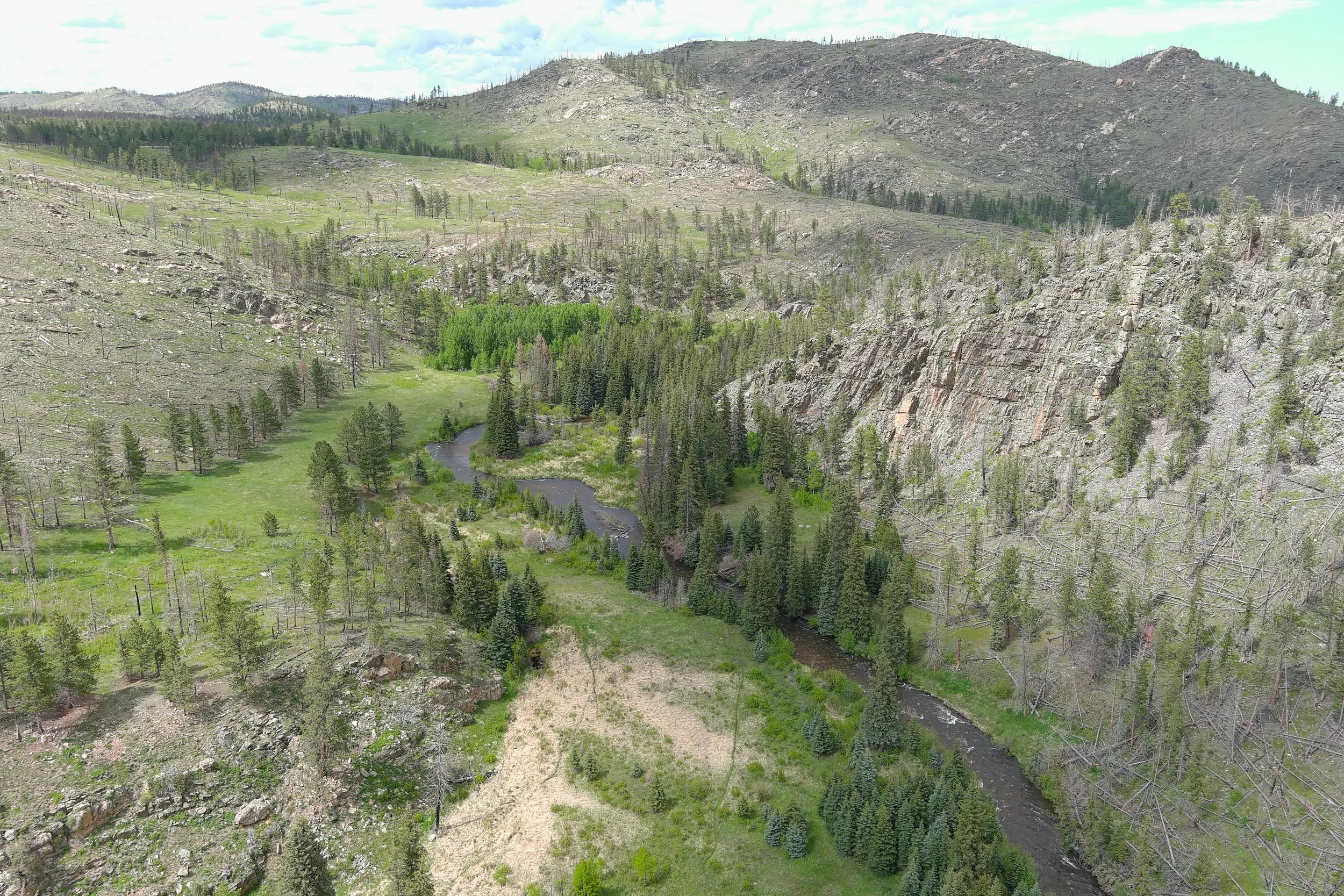 Coalition for the Poudre River Watershed-South Fork Post-Fire Restoration