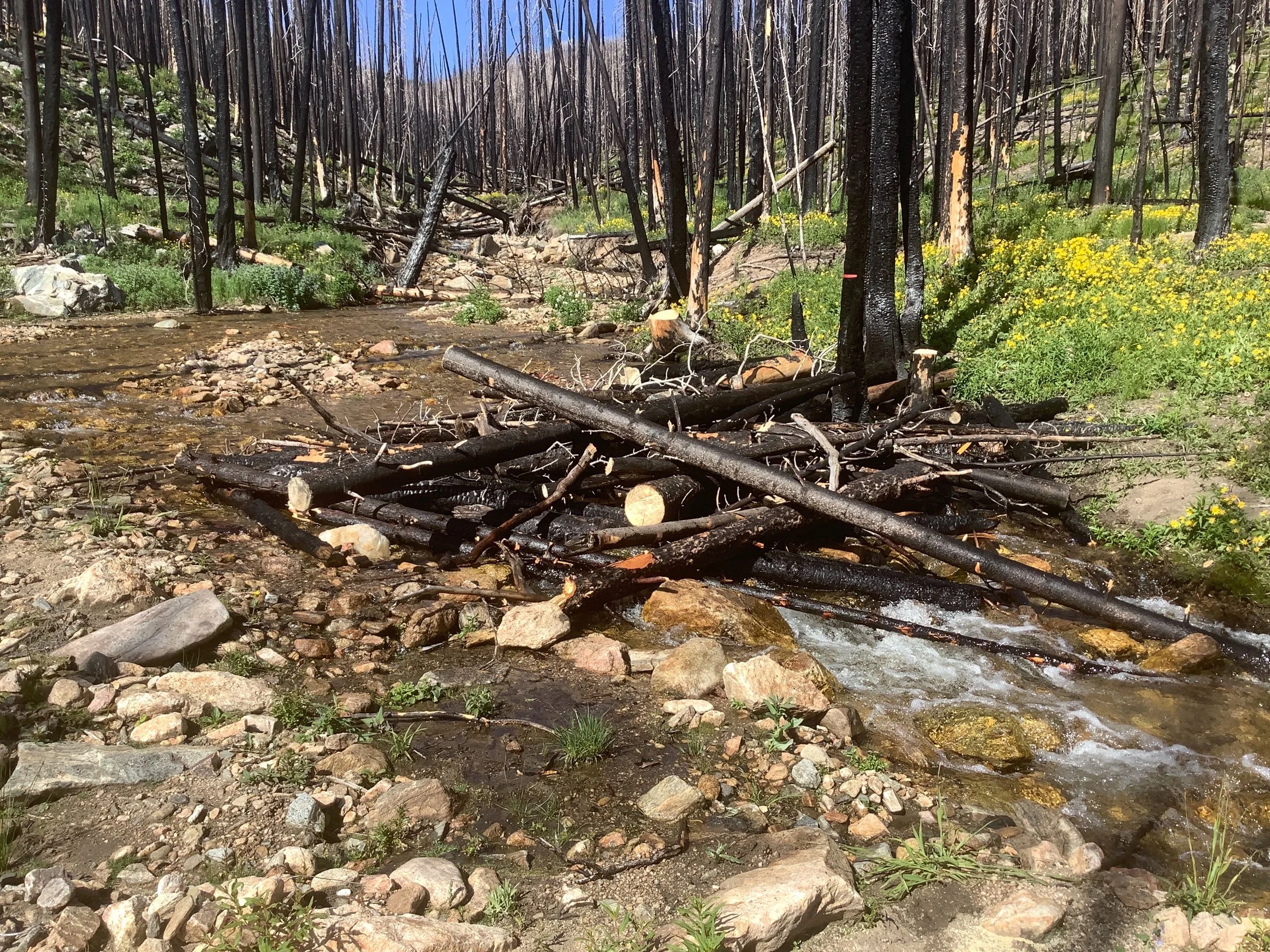 Coalition for the Poudre River Watershed-Low-Tech Process-Based Restoration