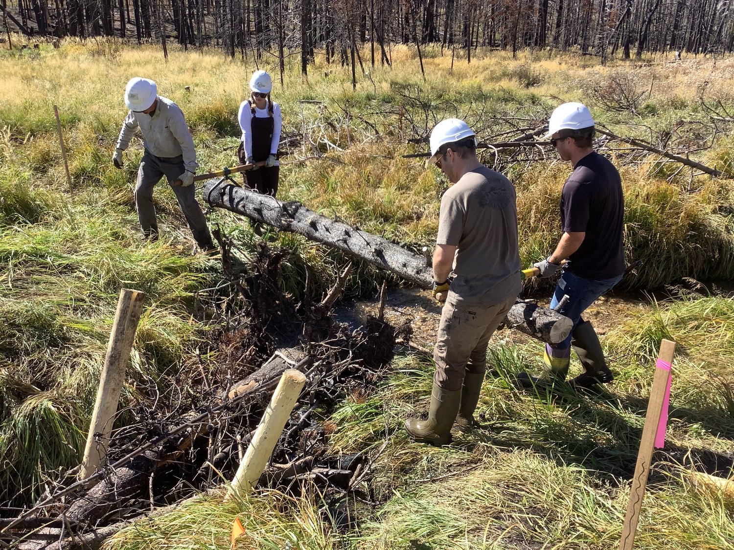 Coalition for the Poudre River Watershed-Cameron Peak Fire