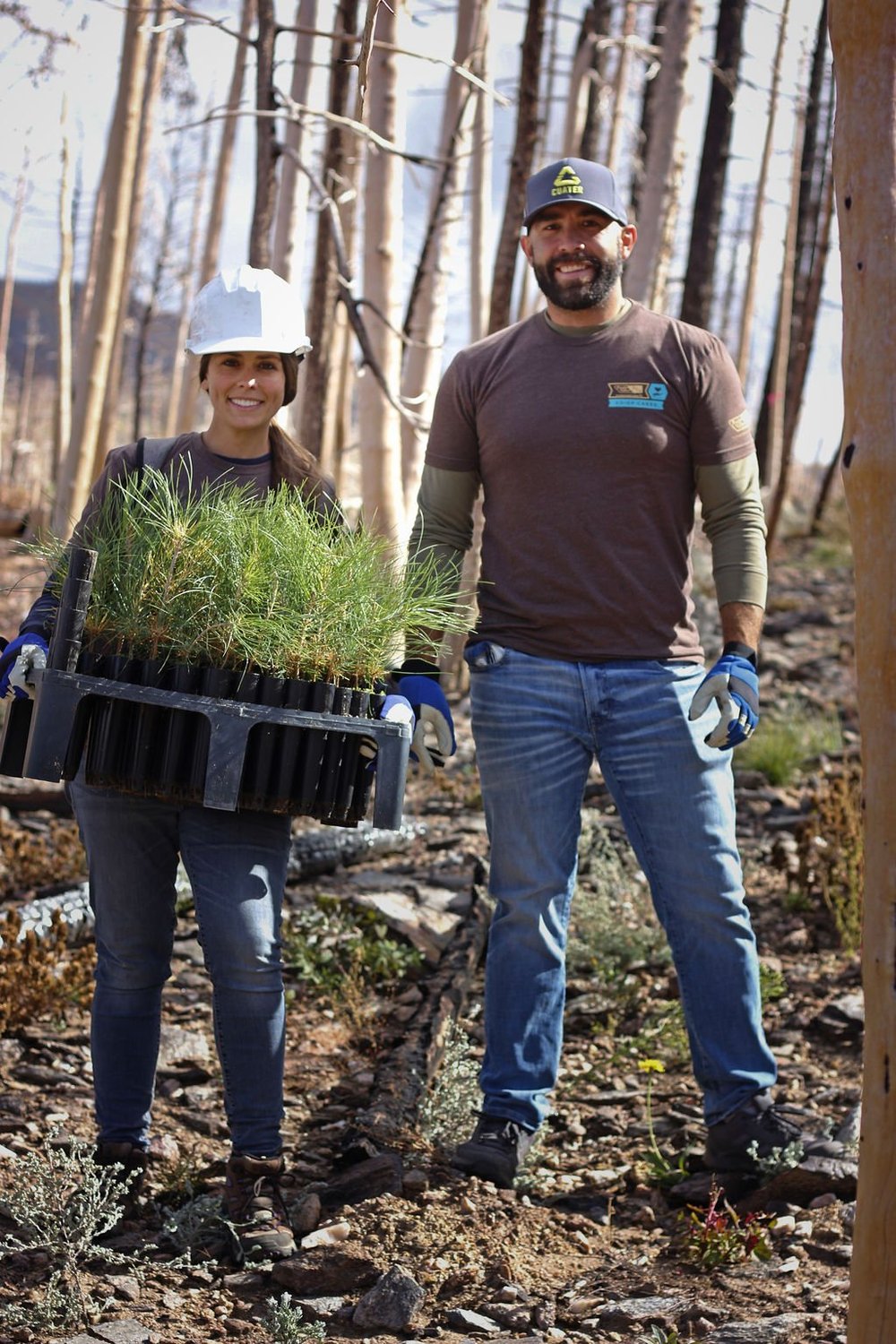Coalition for the Poudre River Watershed-Reforestation