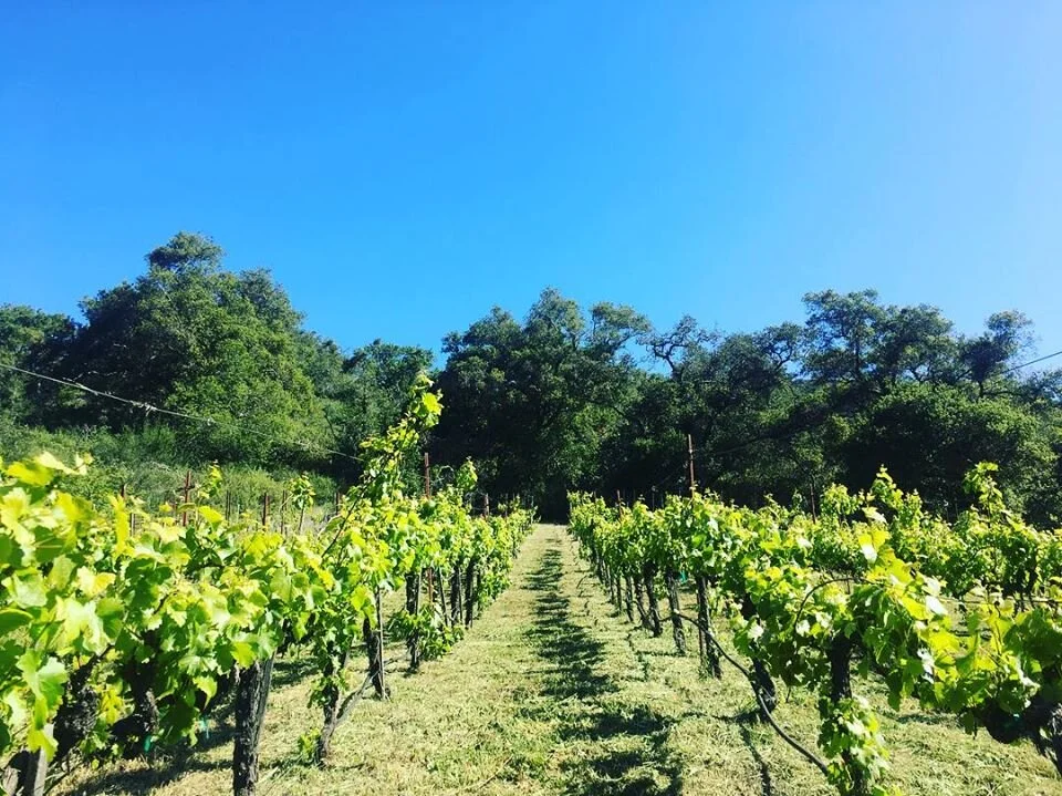 Pacific Coast Wine Trail