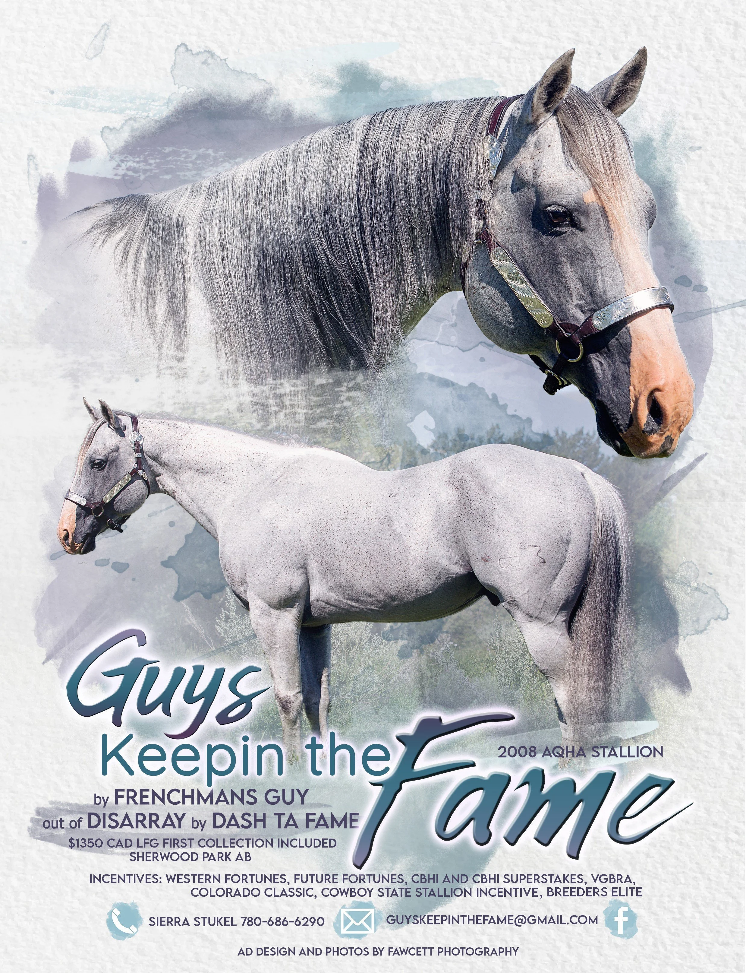 Stallion Services/Catalogue — Westhills Equine Veterinary Services