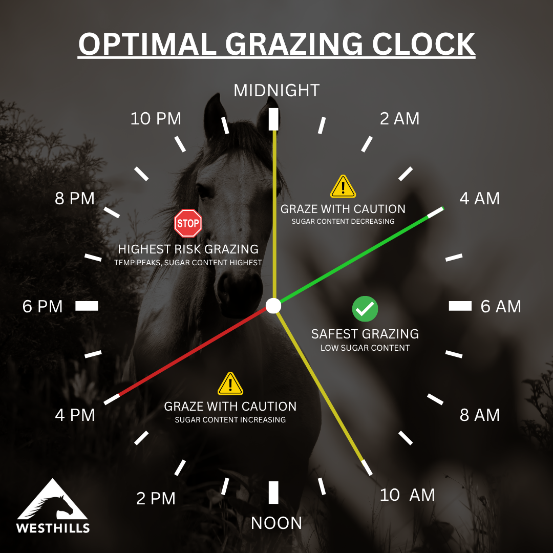 Optimal Grazing for the "Easy Keepers": Dr. Marthe Wildsmith ...