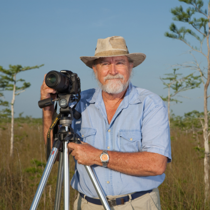 Board of Directors — Tropical Audubon Society