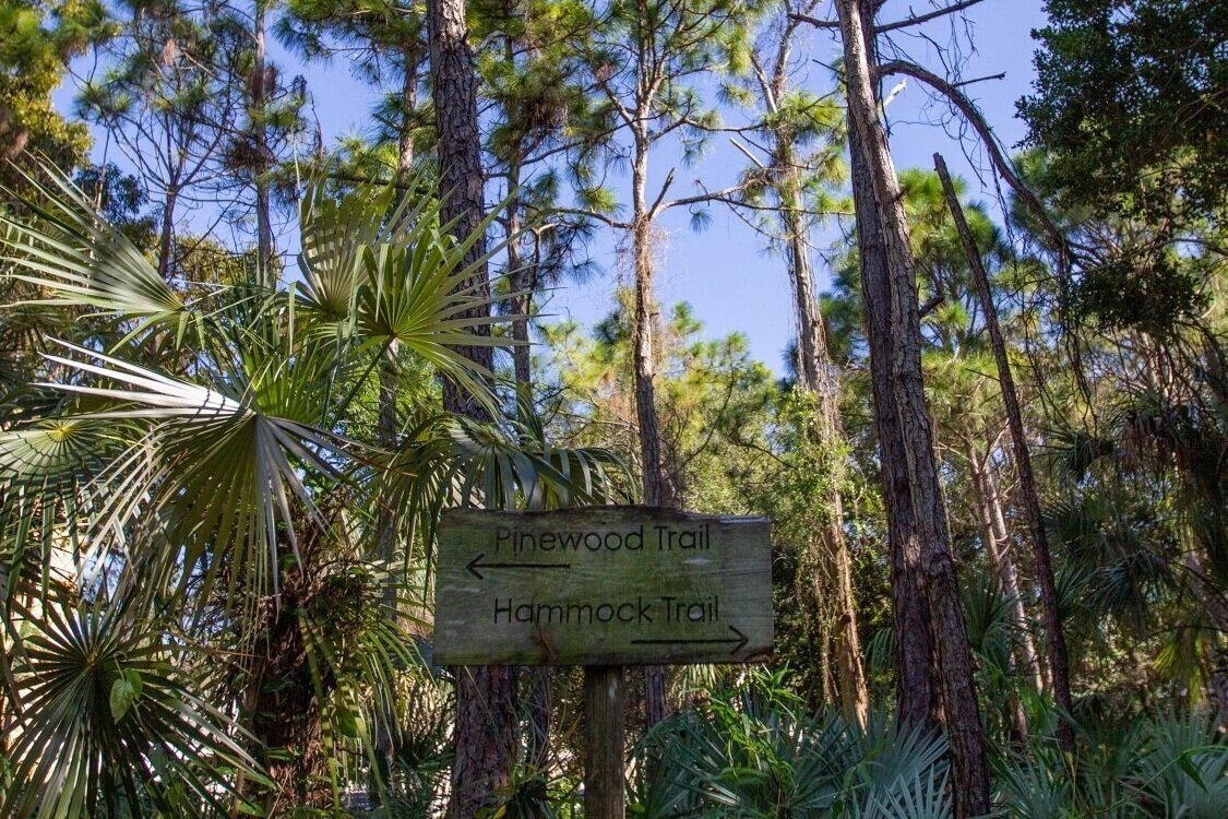 Pine Rocklands — Tropical Audubon Society