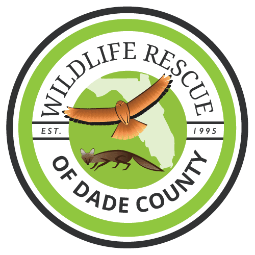 Wildlife Rescue Logo Animal Rescue Logo Images – Browse 7,283 Stock