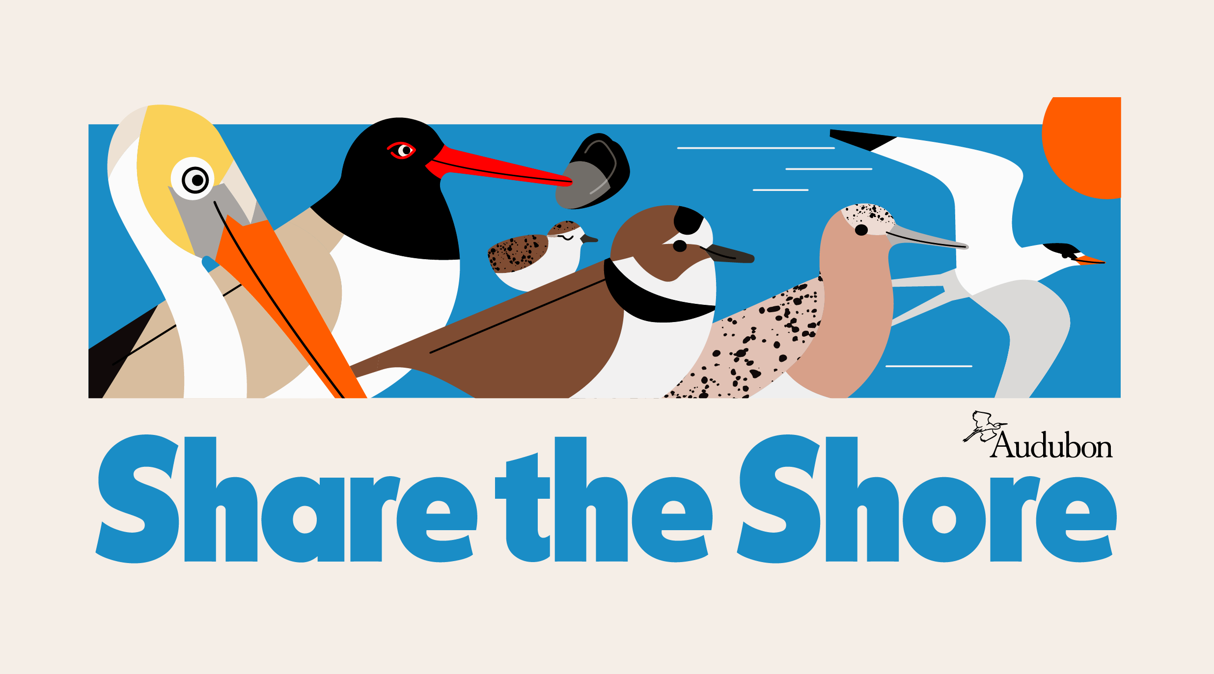 Crandon Park Shorebird Project — Tropical Audubon Society