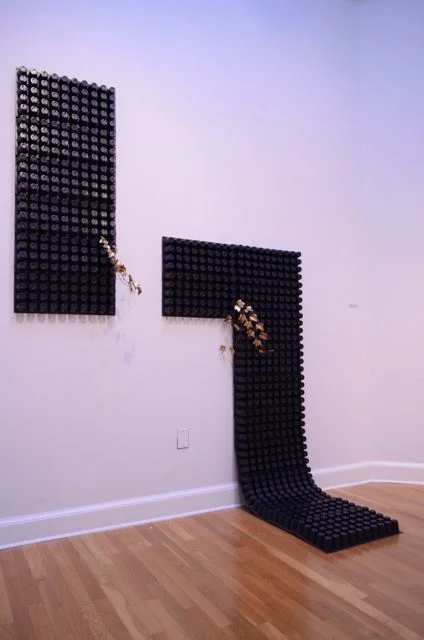 Horticultural Plastics — Ana Hernandez