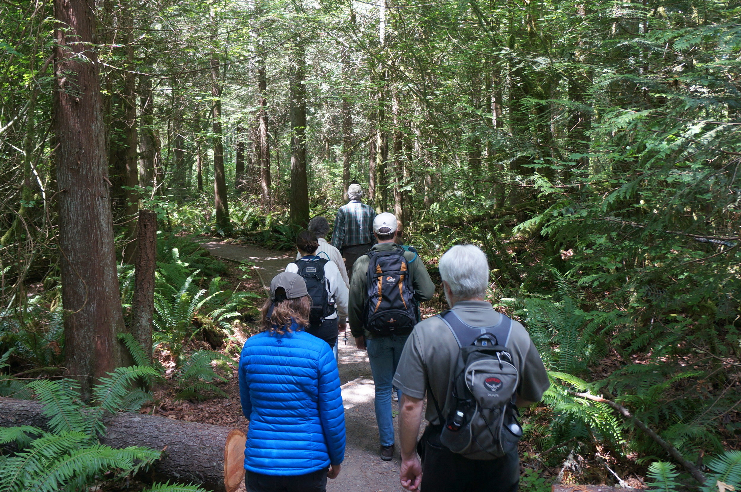Hikes and Events — Issaquah Alps Trails Club