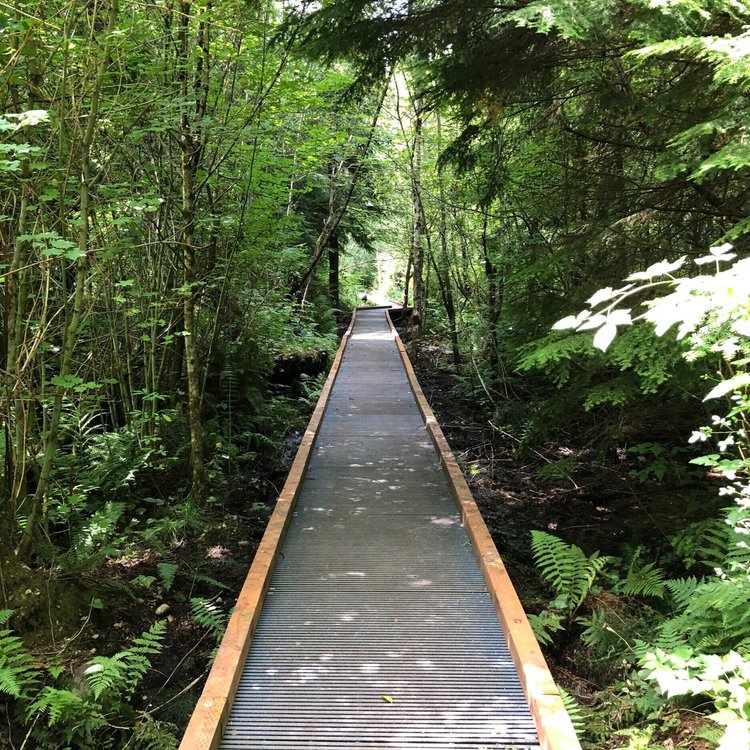 Issaquah Alps Trails Club