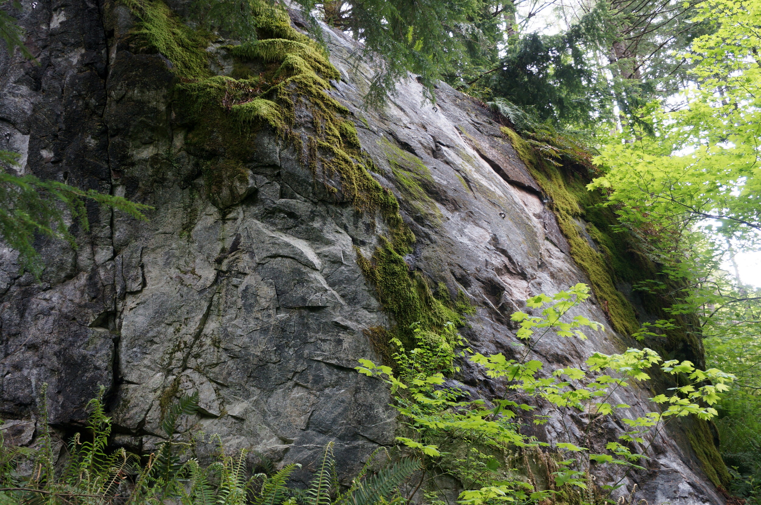 Issaquah Alps Trails Club