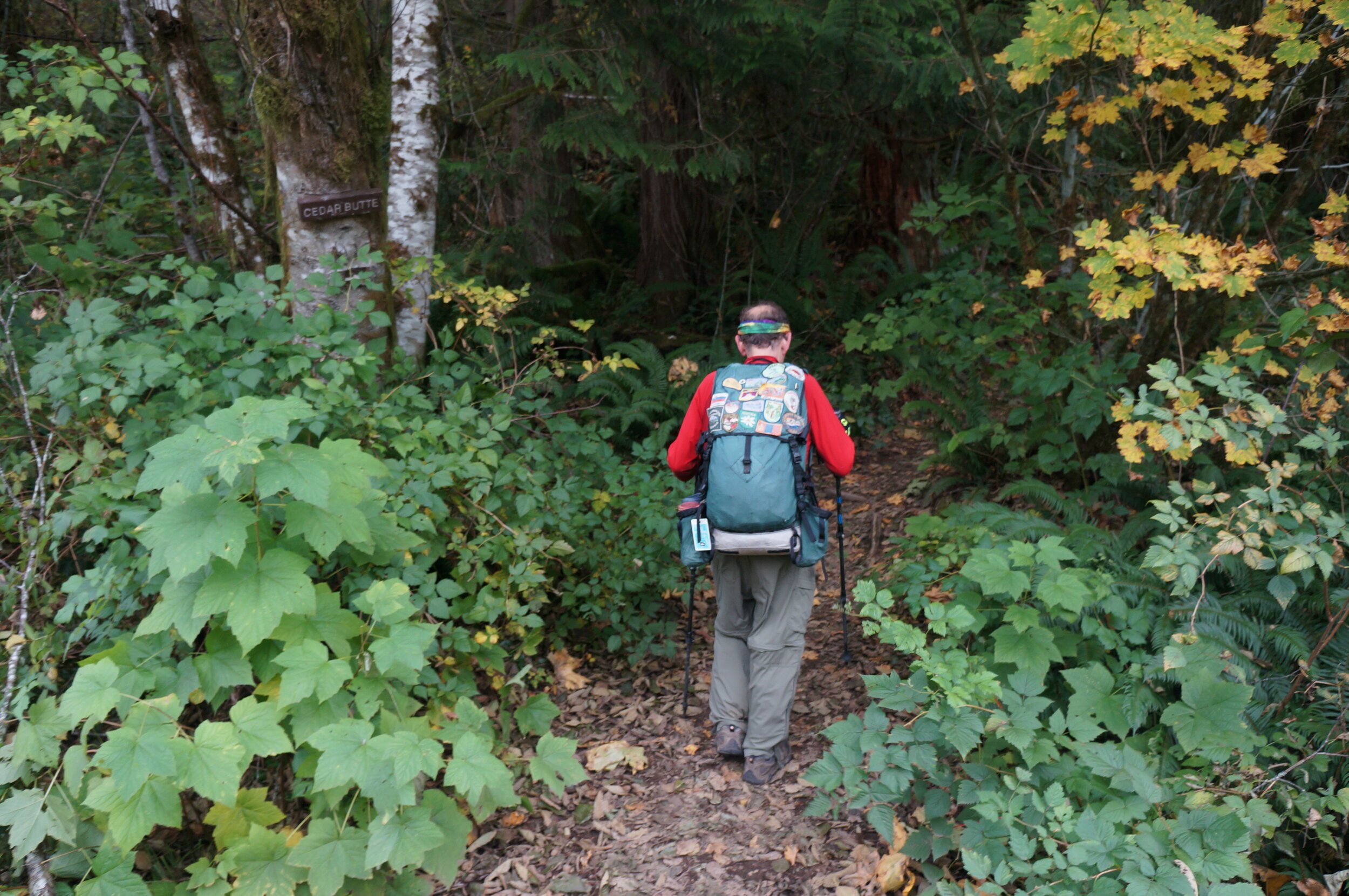 Hiking 101: The First Steps — Issaquah Alps Trails Club