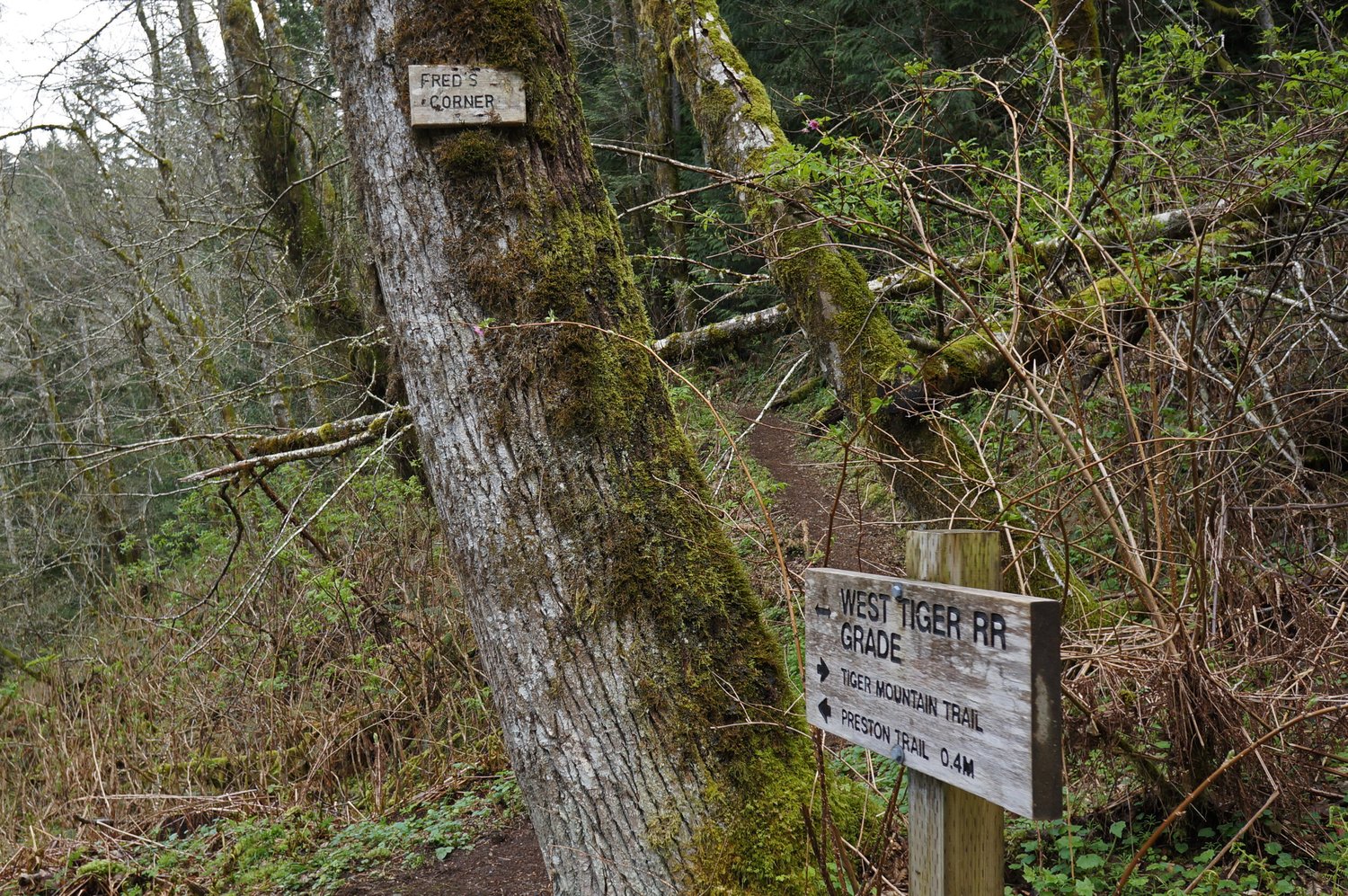 Fred's Corner - Then and Now — Issaquah Alps Trails Club