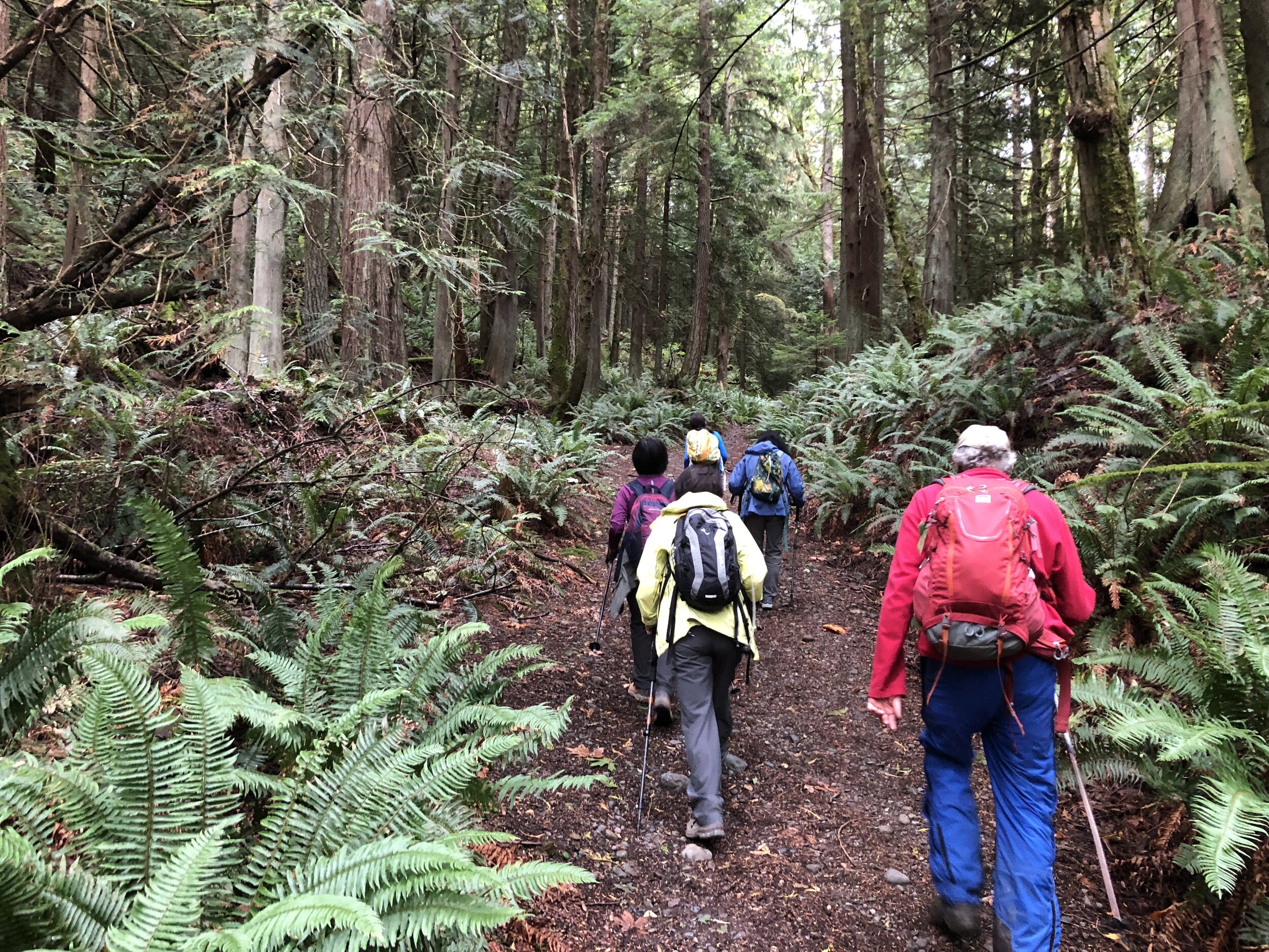 Hiking 101: Leave no Trace — Issaquah Alps Trails Club