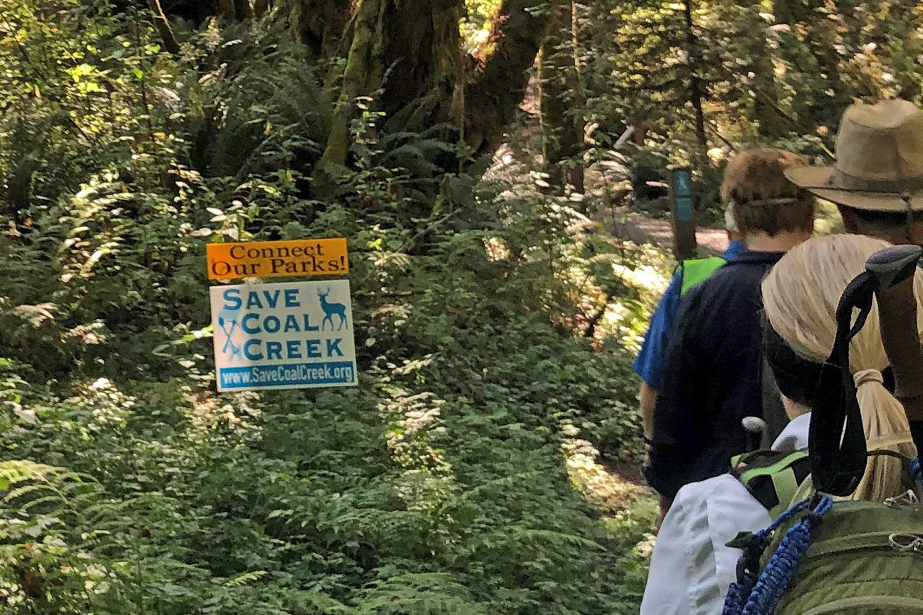 Issaquah alps hikes