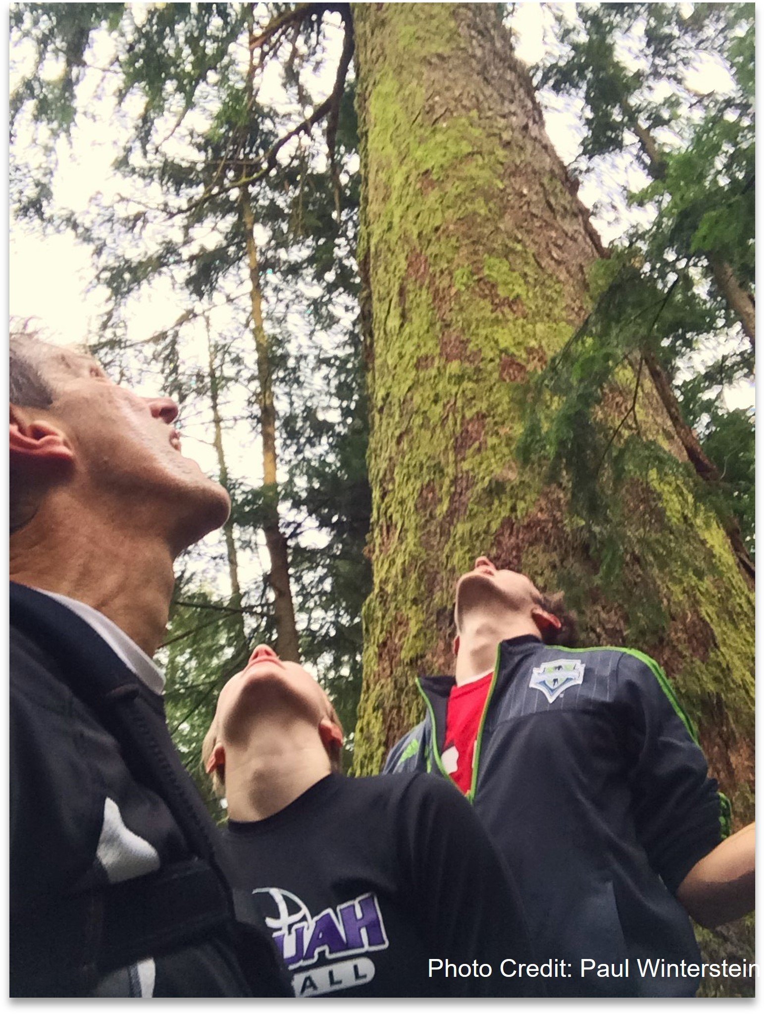 Issaquah alps trail map