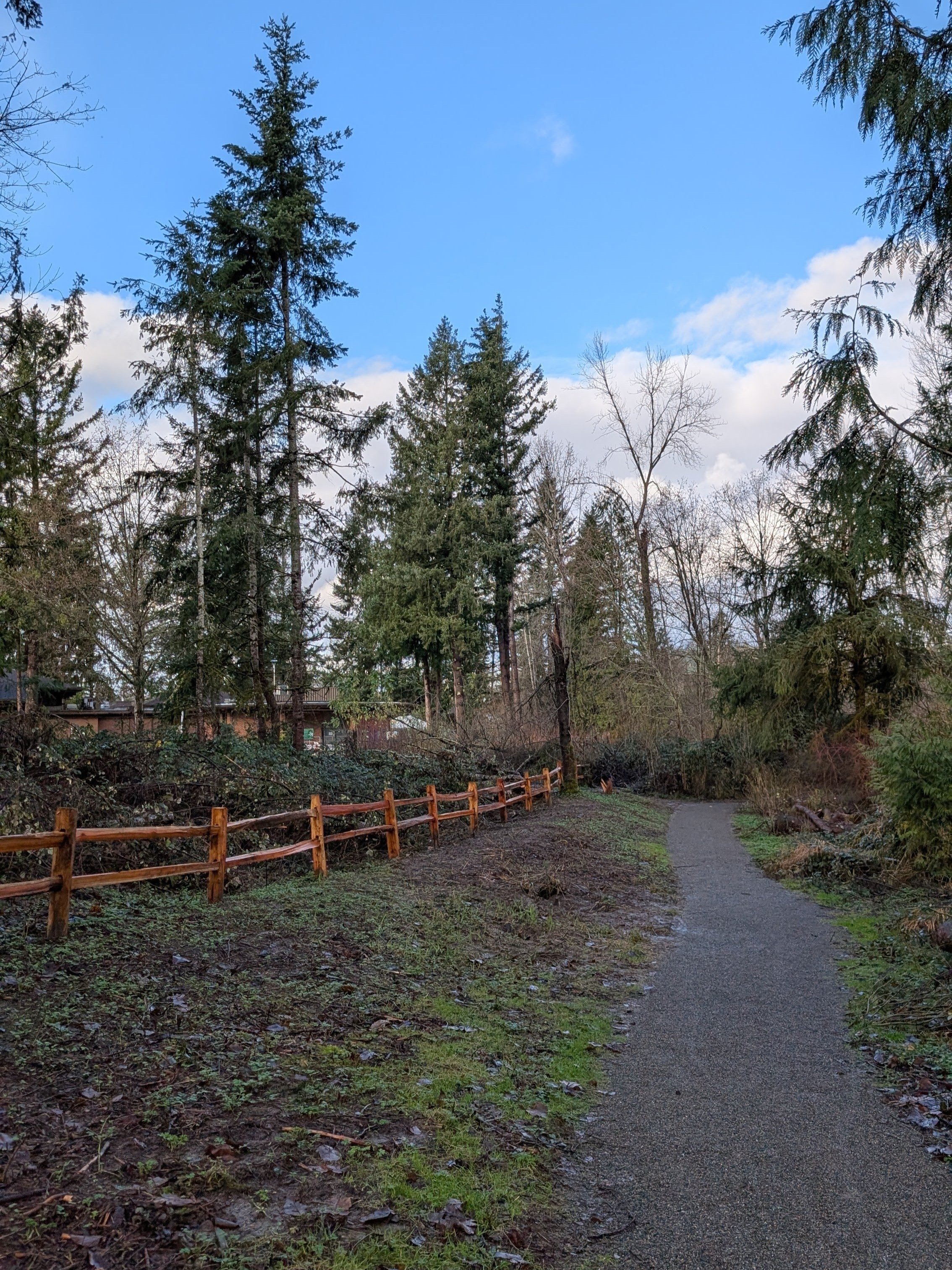 Trail Resilience After Historic Storms — Issaquah Alps Trails Club