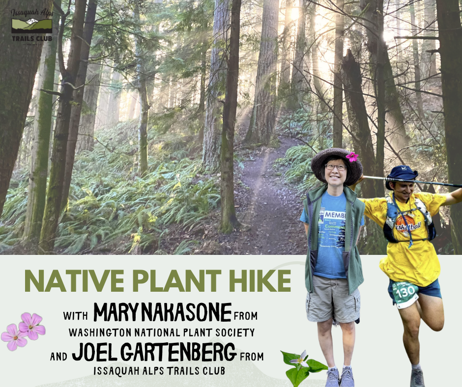 Native Plant Hike with WNPS — Issaquah Alps Trails Club
