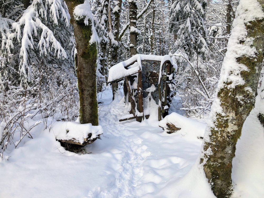 History Corner - The Old Bus — Issaquah Alps Trails Club