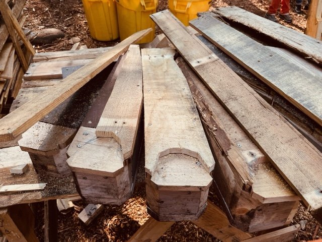 Welcoming Issaquah’s “Spooky” New Resident - Jakob Two Trees — Issaquah ...