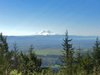Squak Mountain: the State Park in the Issaquah Alps — Issaquah Alps ...