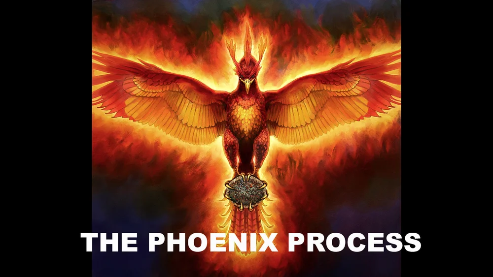 THE PHOENIX PROCESS — The Psychedelic Film and Music Festival