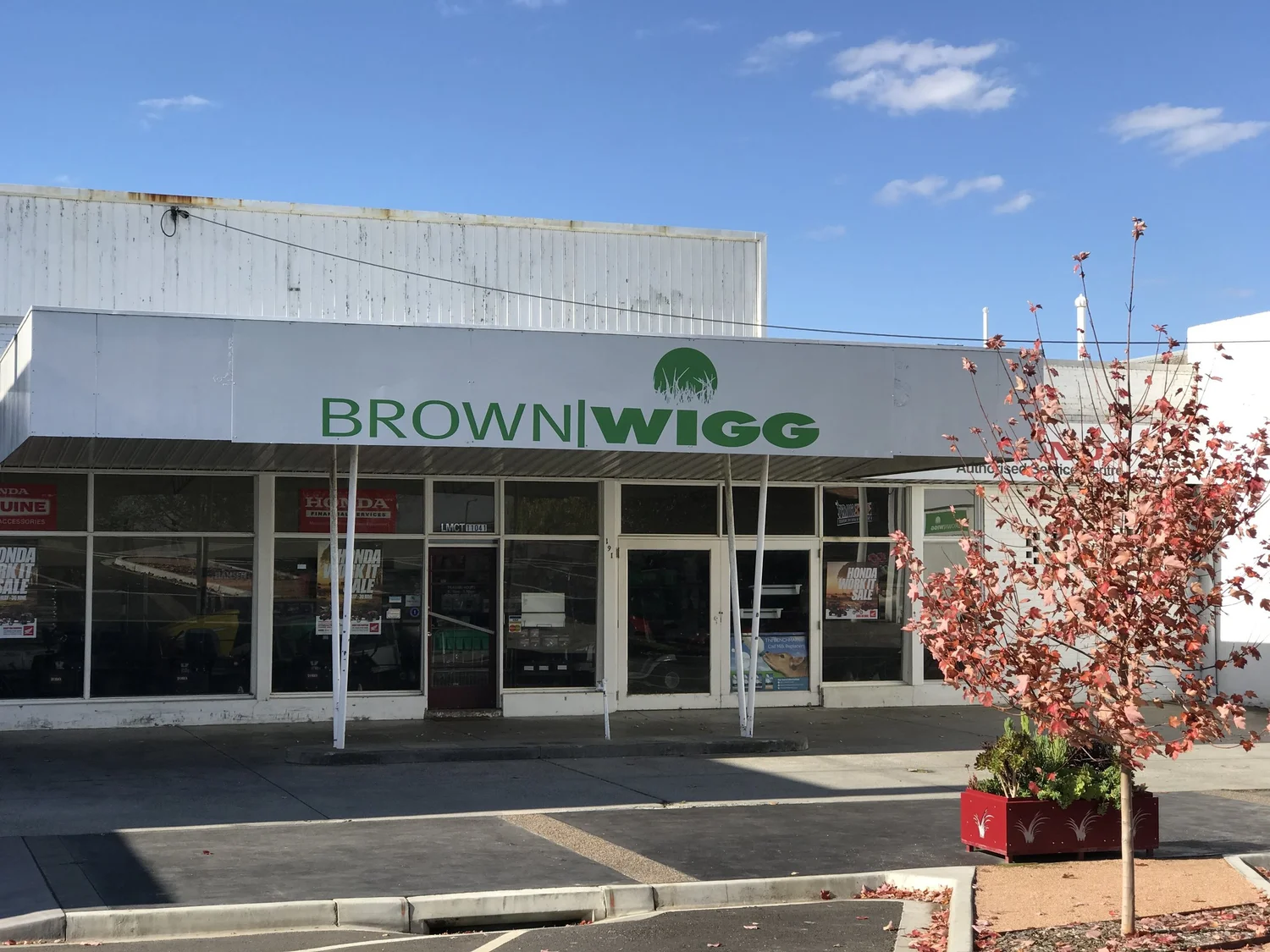 Brown Wigg — YARRAM