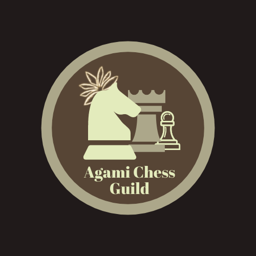 Agami Inc