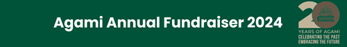 Agami Inc
