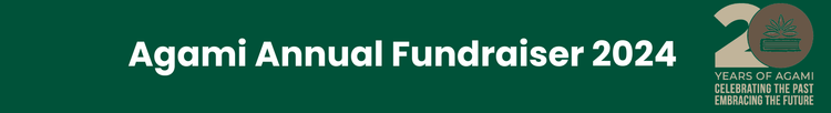 Agami Inc