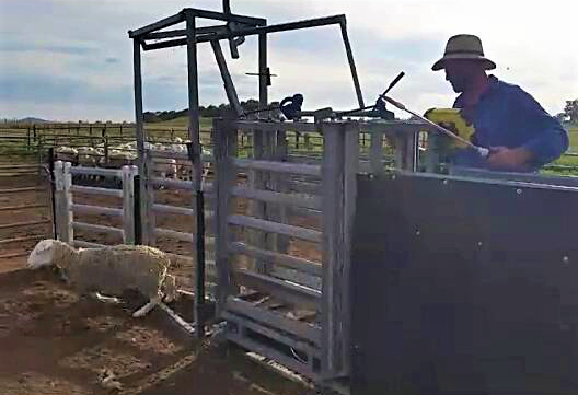 Offsider Ag Equipment