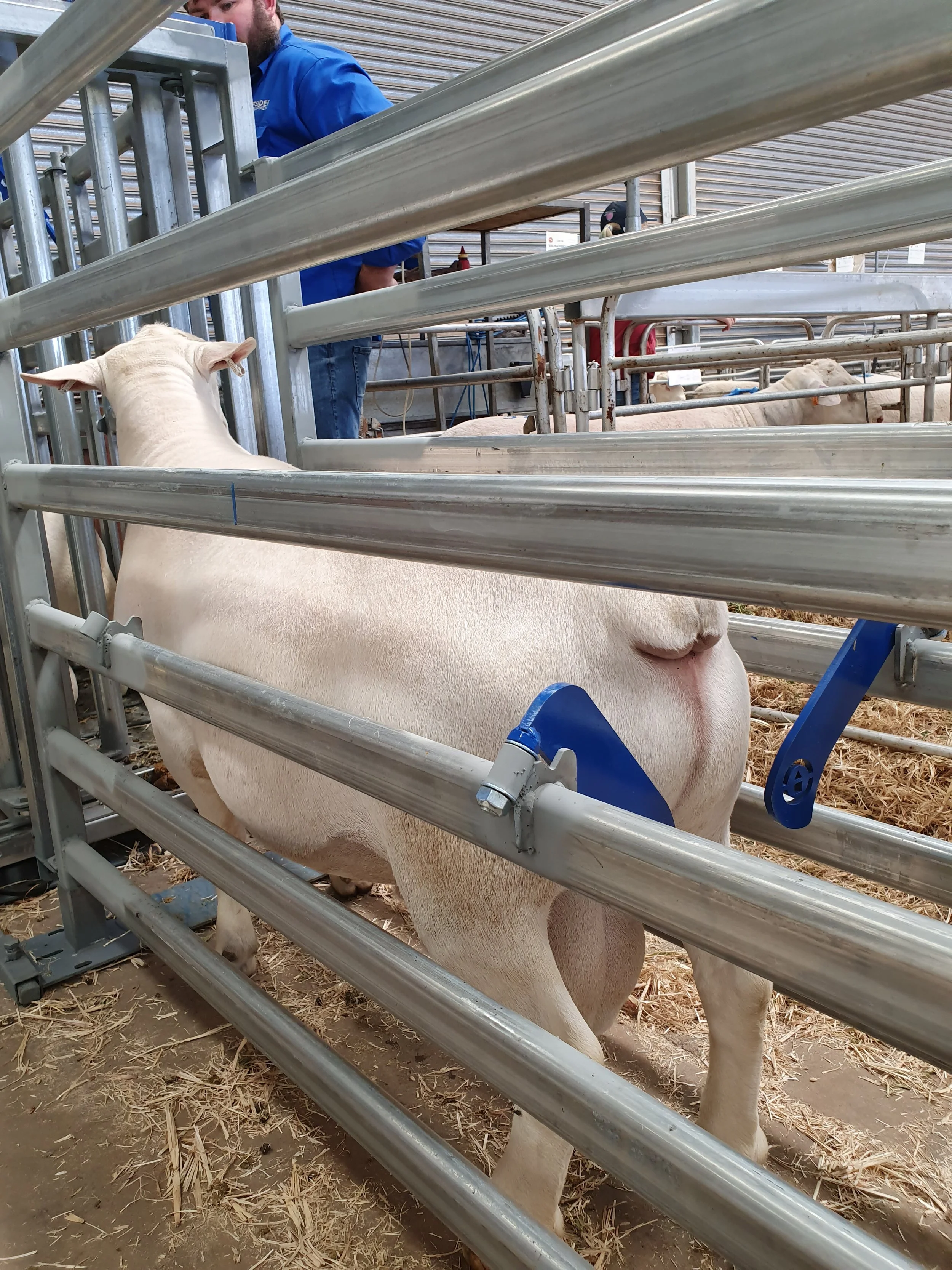 Offsider Ag Equipment