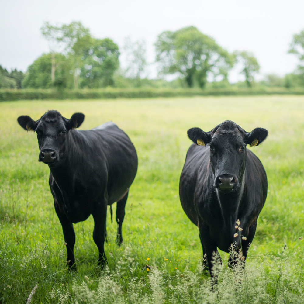 Offsider Ag Equipment