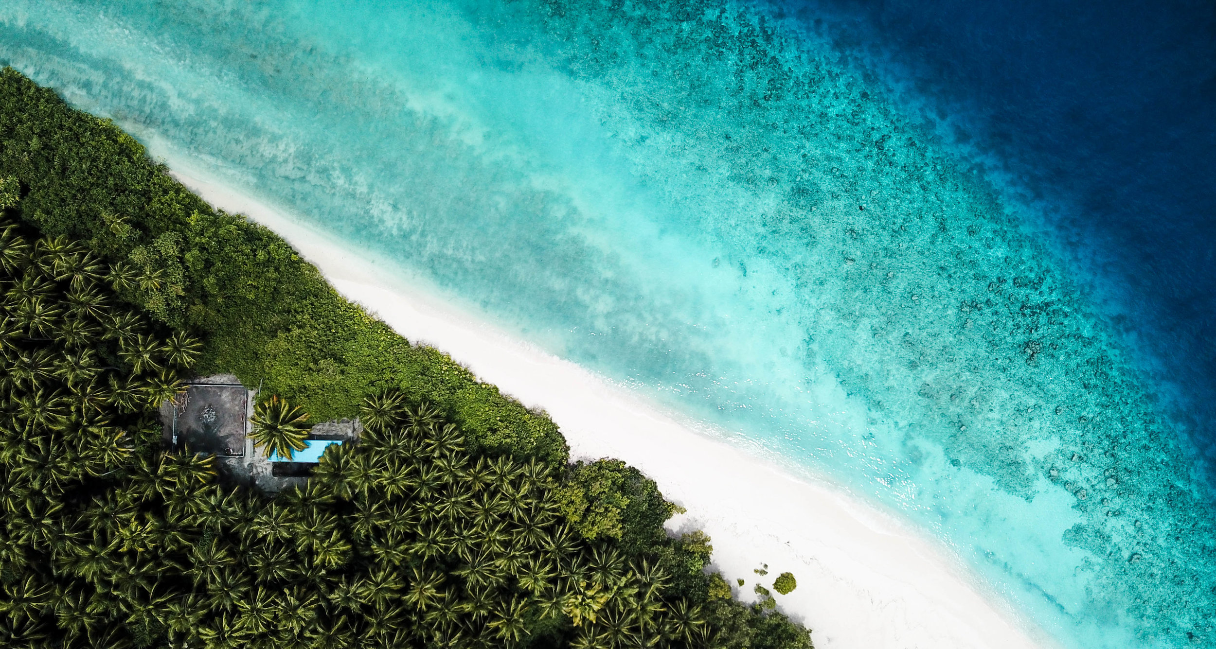 Small Island Geographic Society