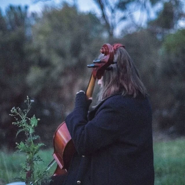 Home — Sawtooth ARI