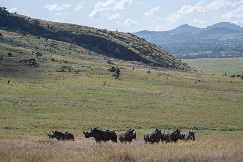 CNN Inside Africa — Northern Rangelands Trust