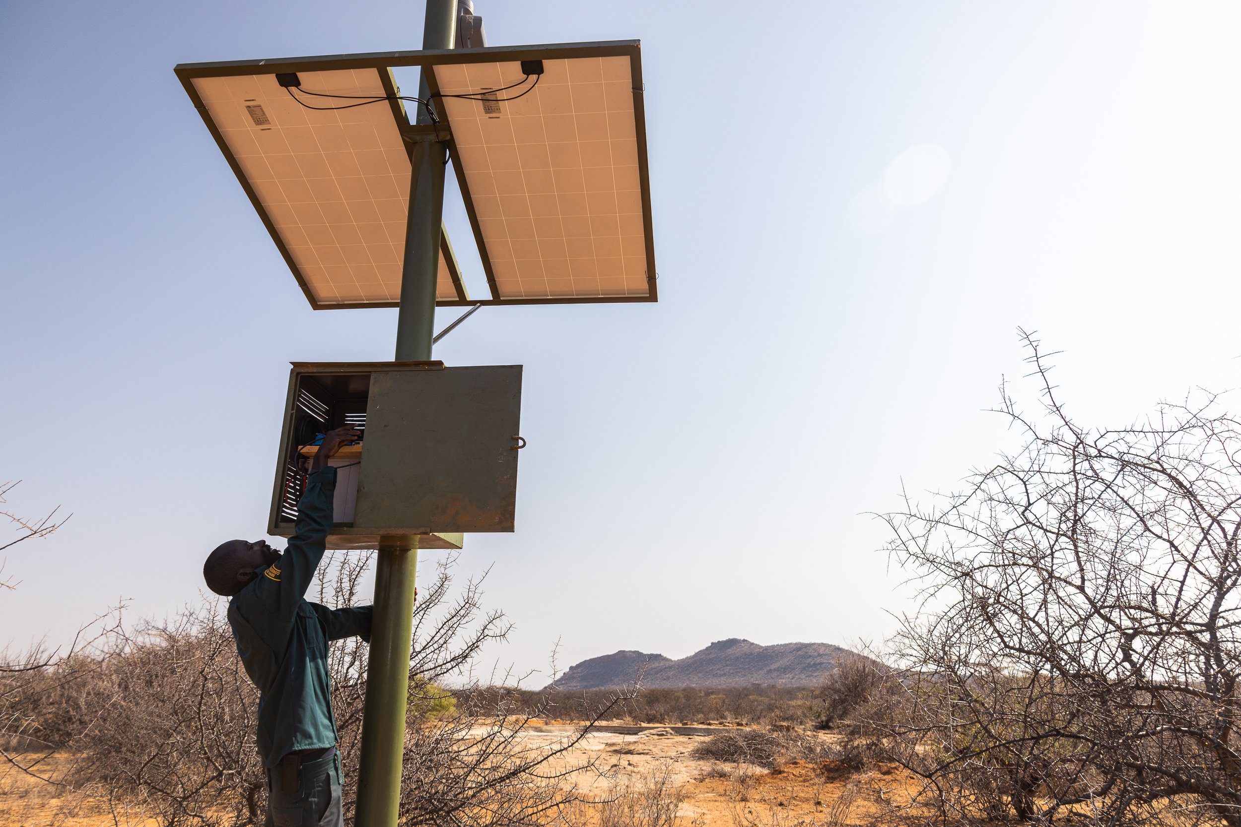 Scaling New Heights of Wildlife Conservation: Africa’s Largest IoT ...