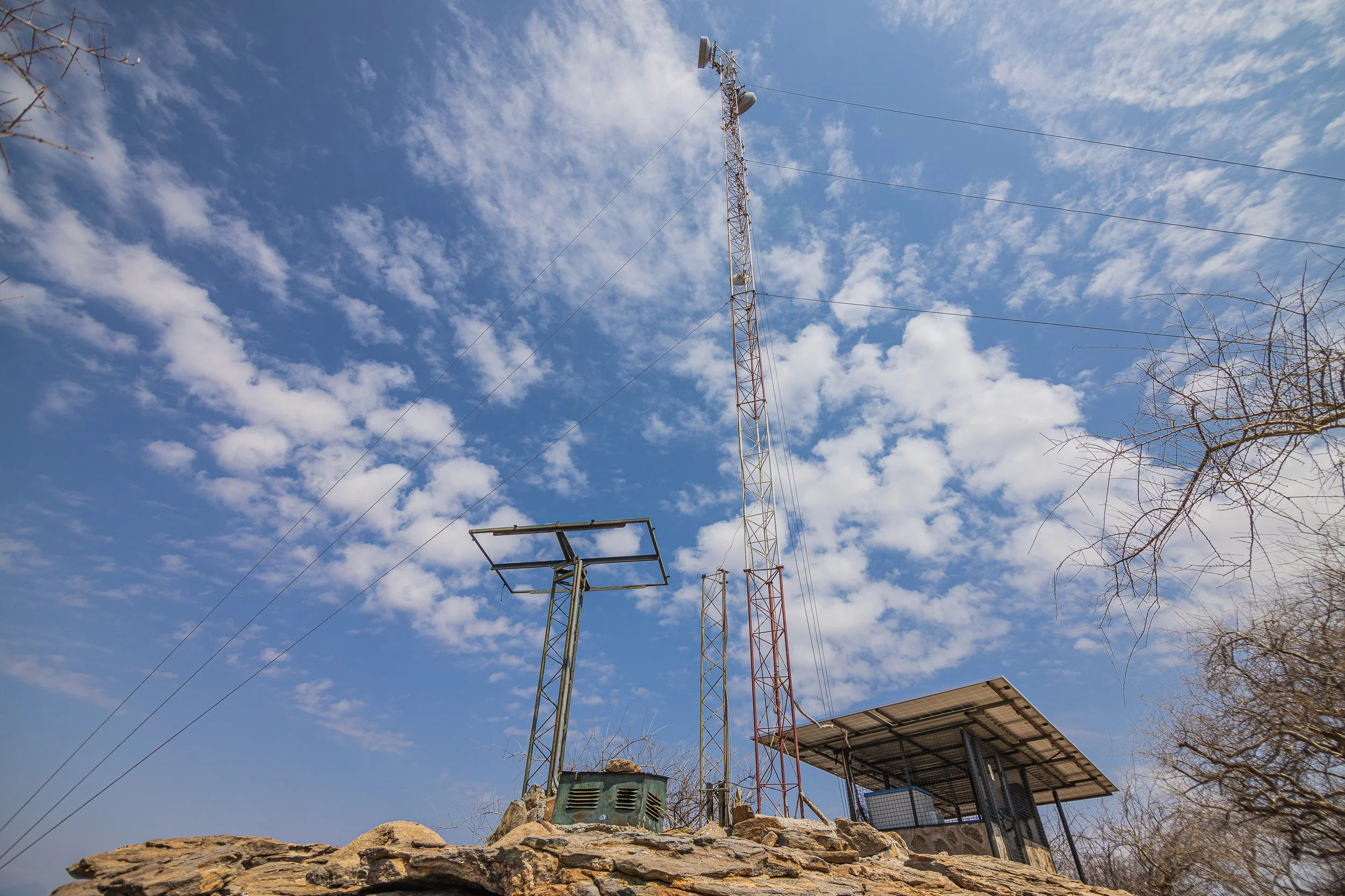 Scaling New Heights of Wildlife Conservation: Africa’s Largest IoT ...
