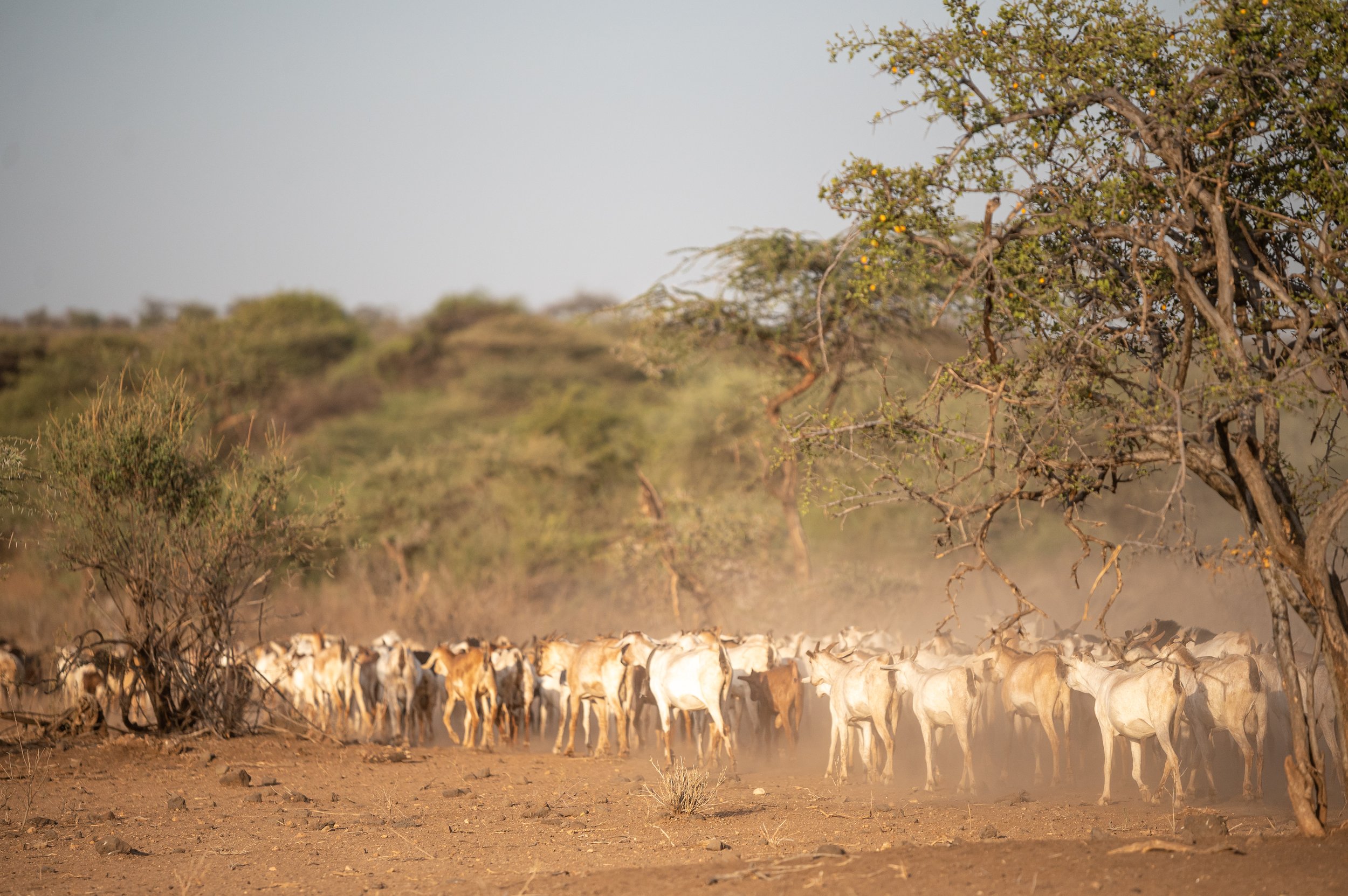Flow of Hope: Transforming Lives in Remote Baringo County through ...
