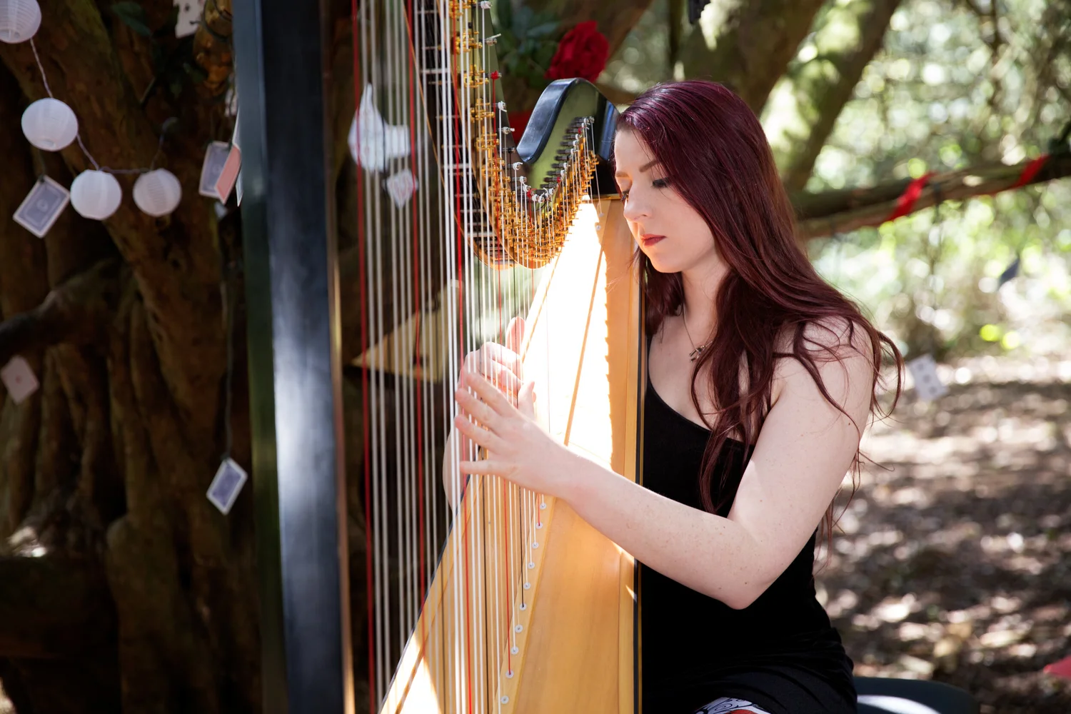 Music — Amy Turk - Harpist
