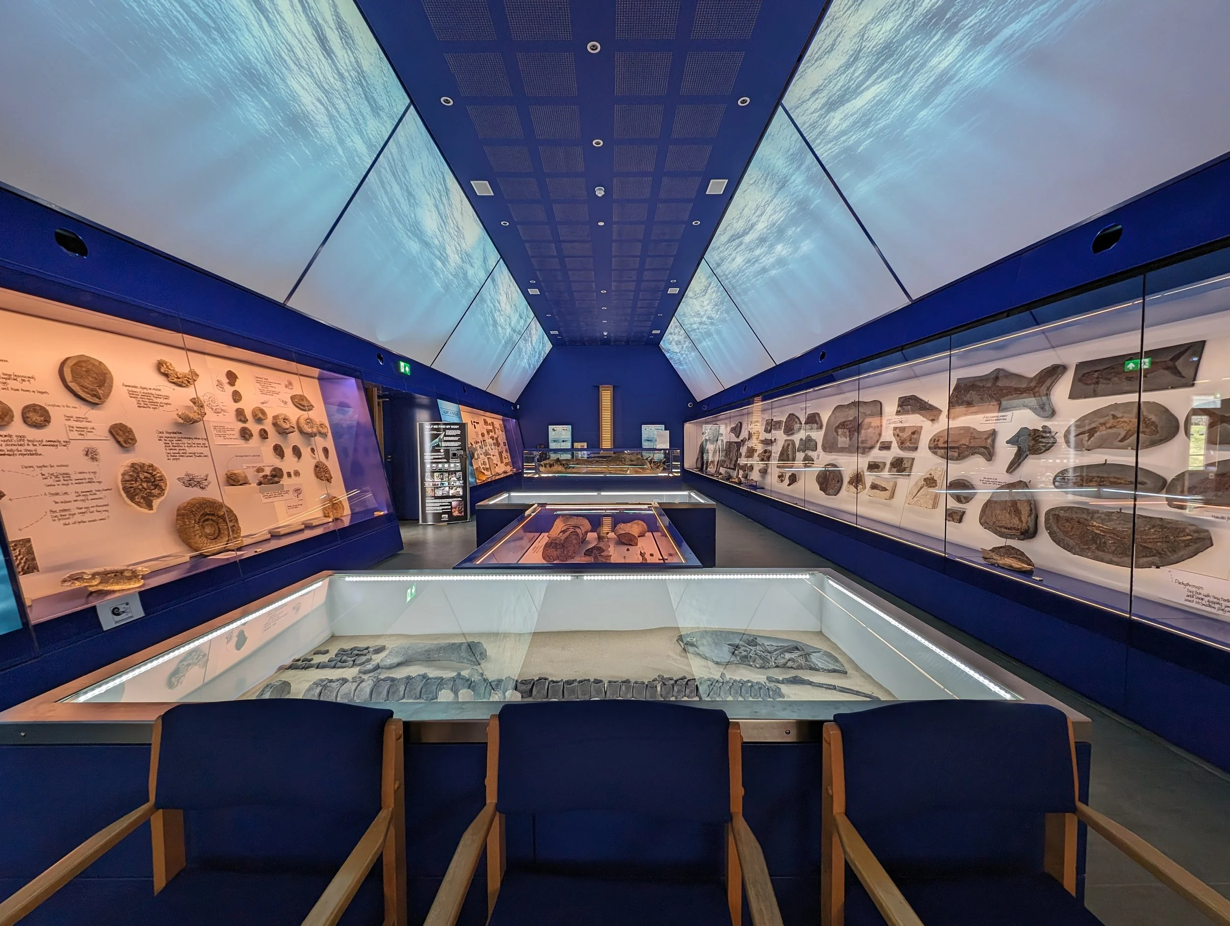 Our Museum — The Etches Collection