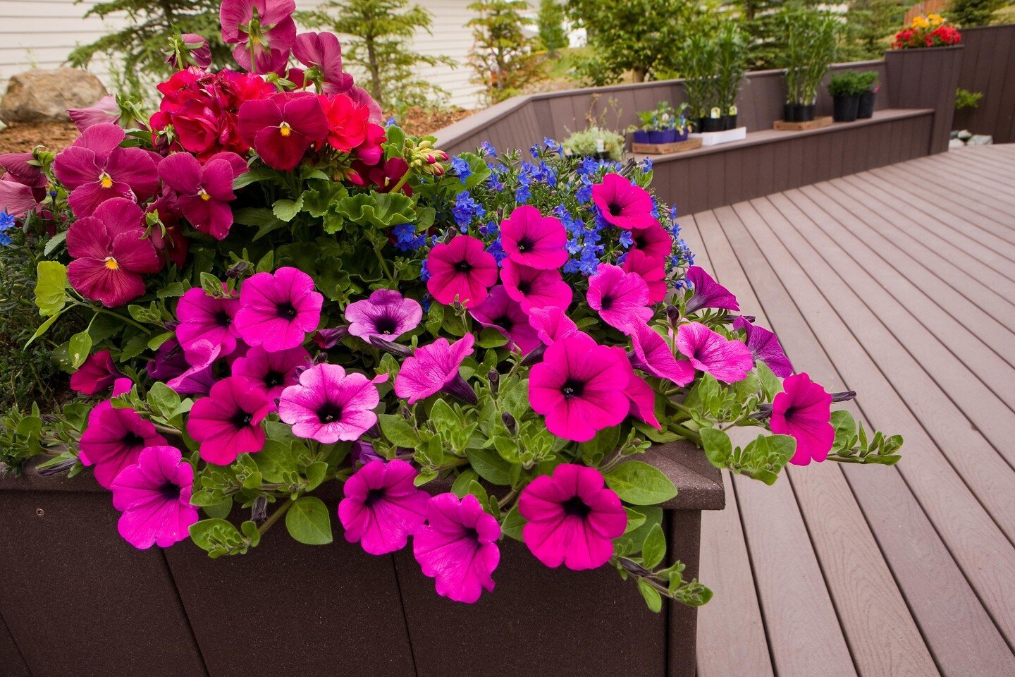 Treeline Construction