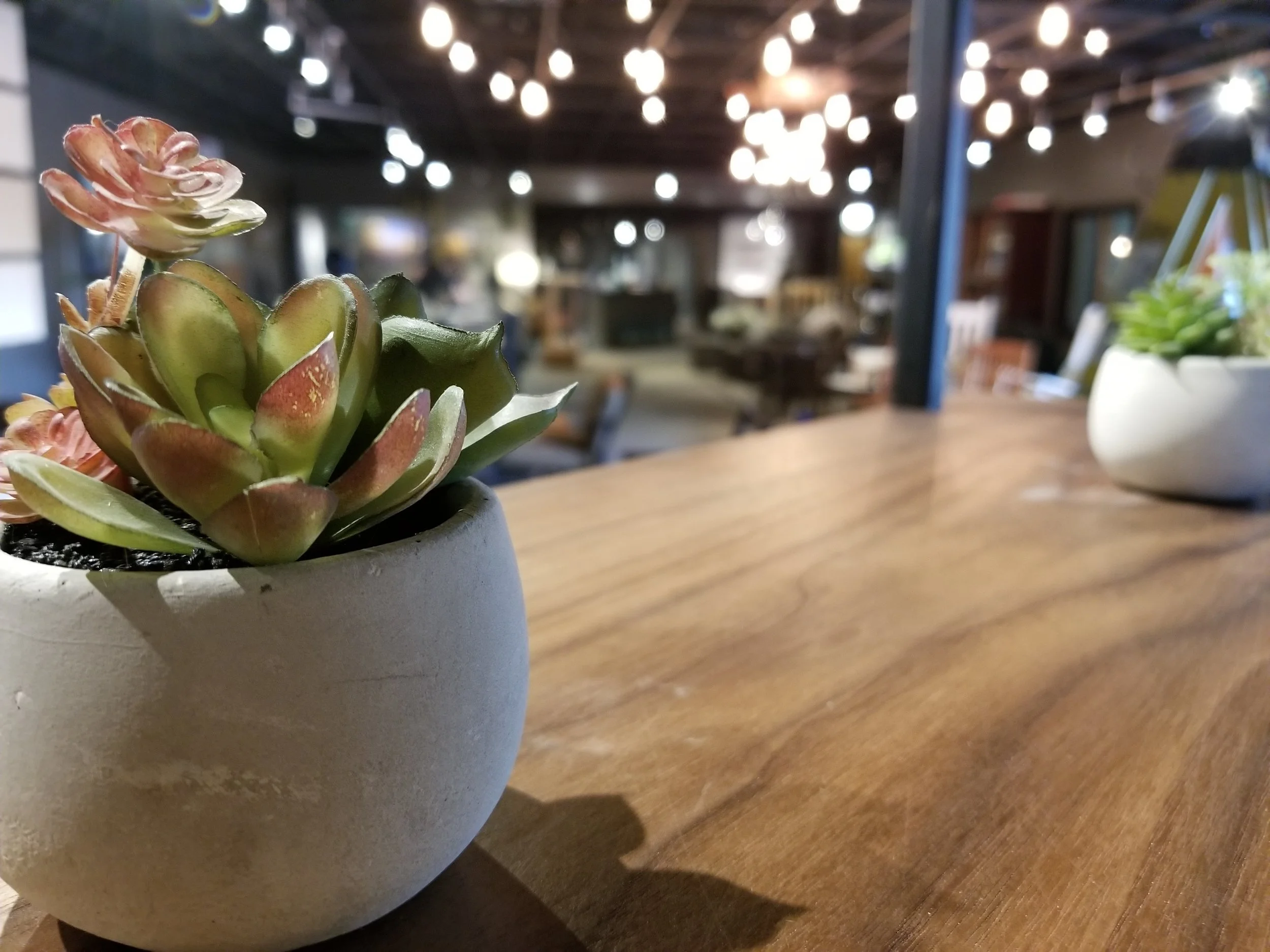 Treeline Construction