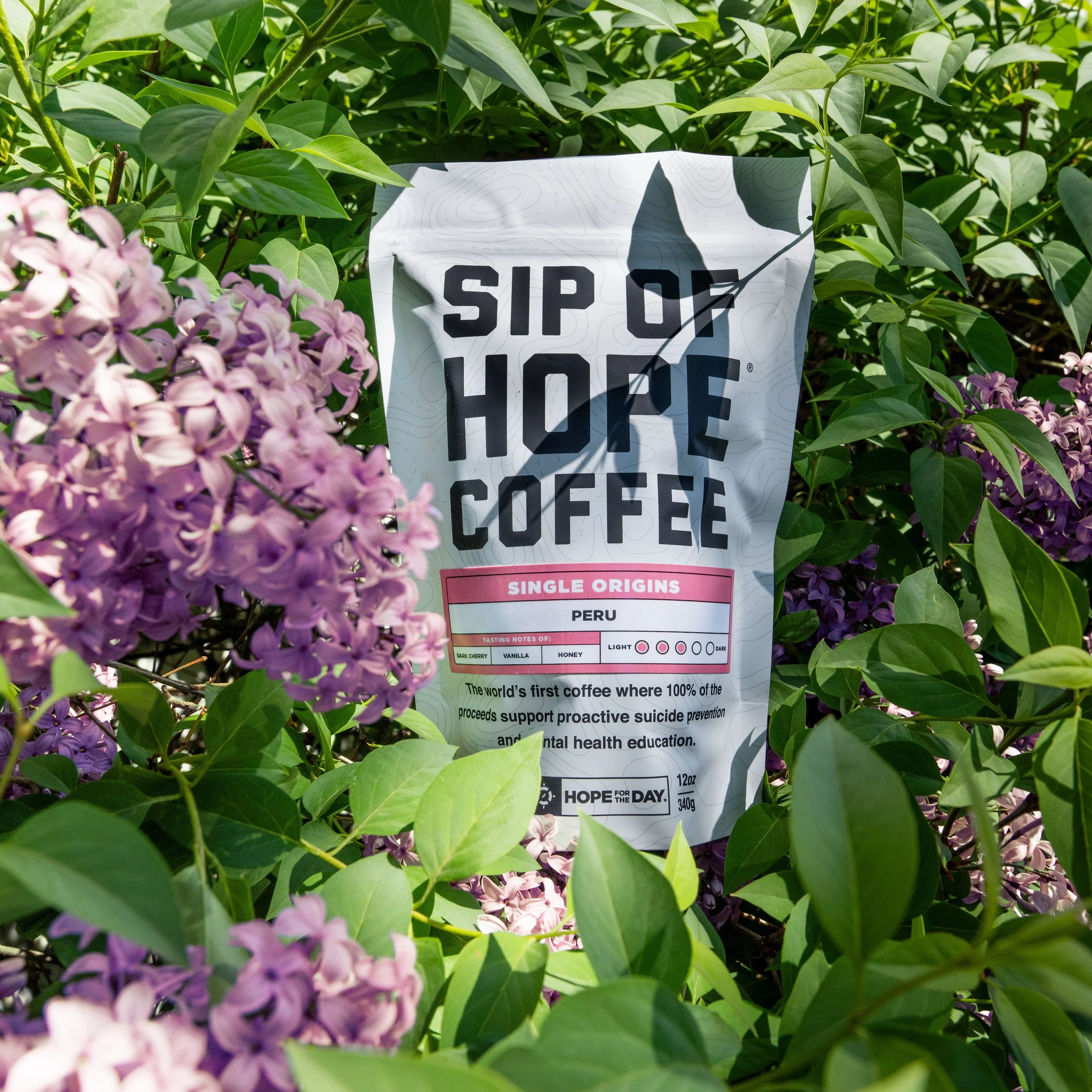 SHOP — Sip of Hope Coffee
