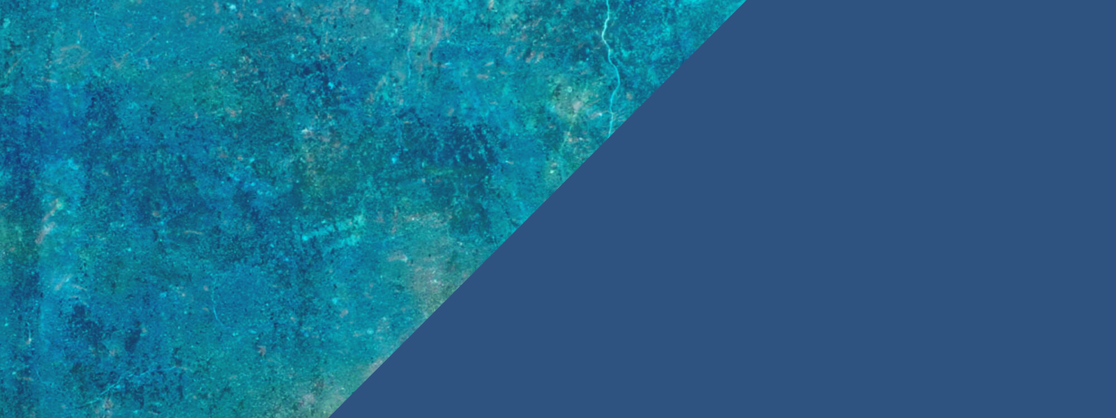 Il Shim Ring — Next Generation Department