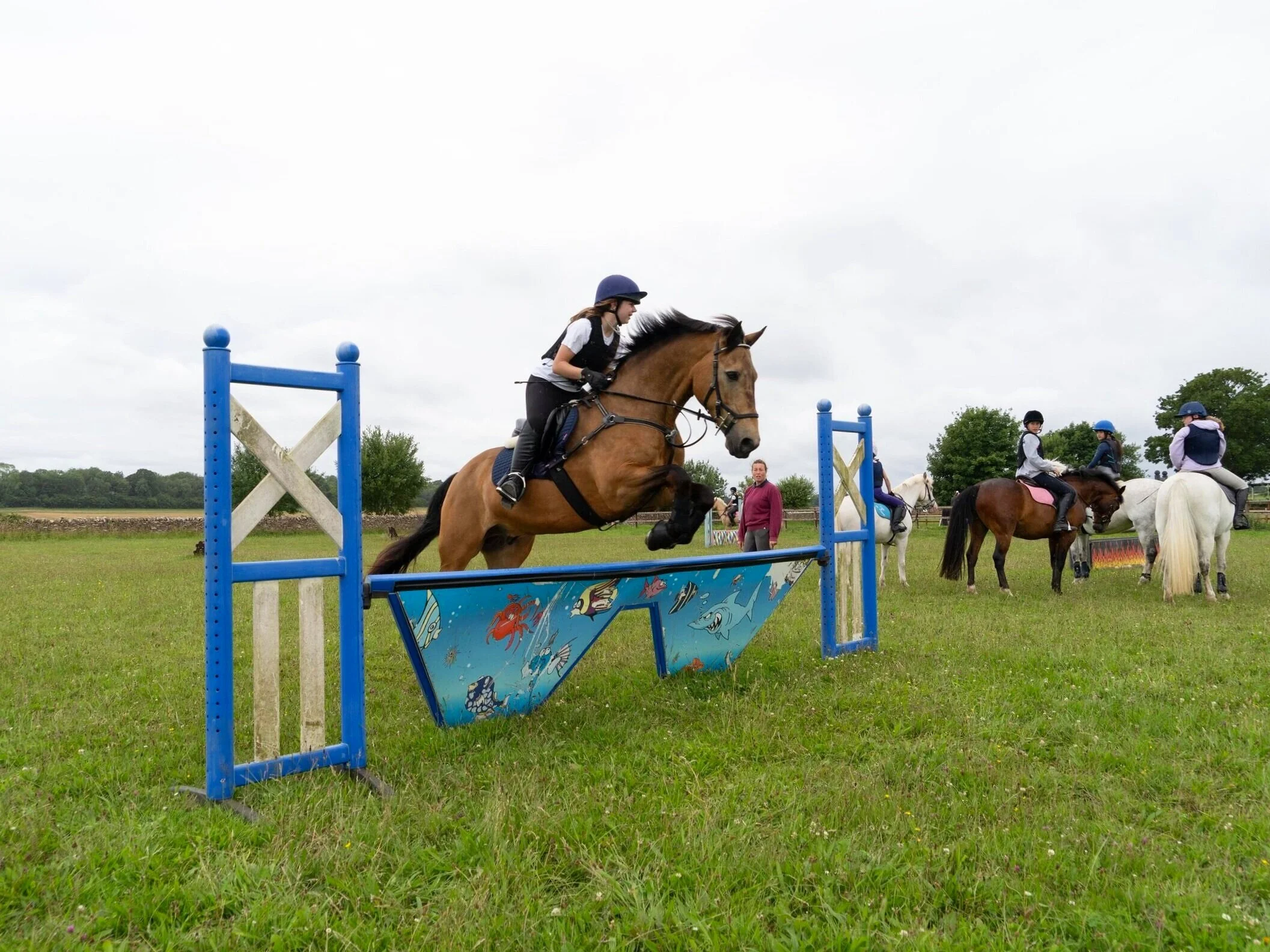 Lessons — Greenhill Equitation