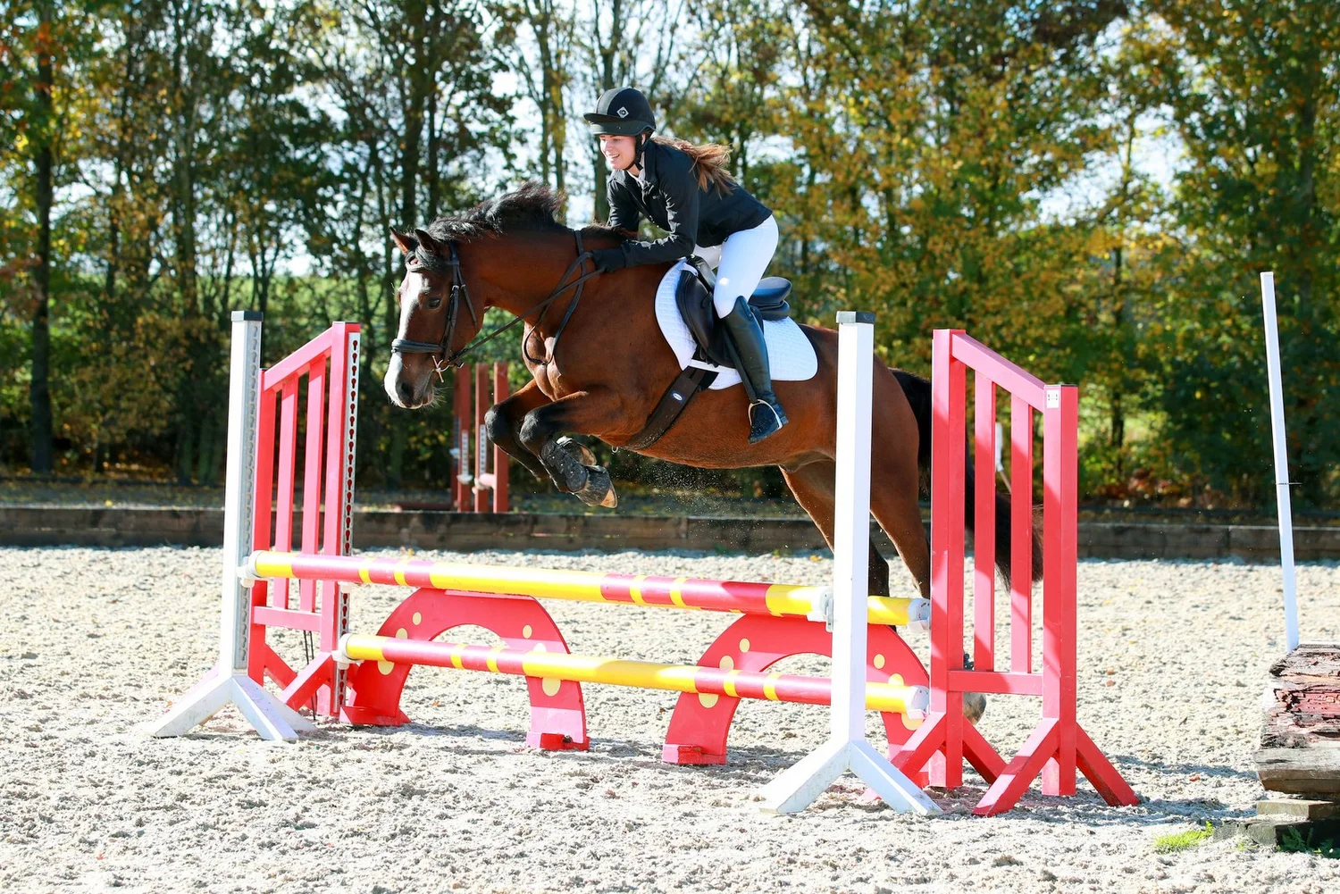 The Team — Greenhill Equitation