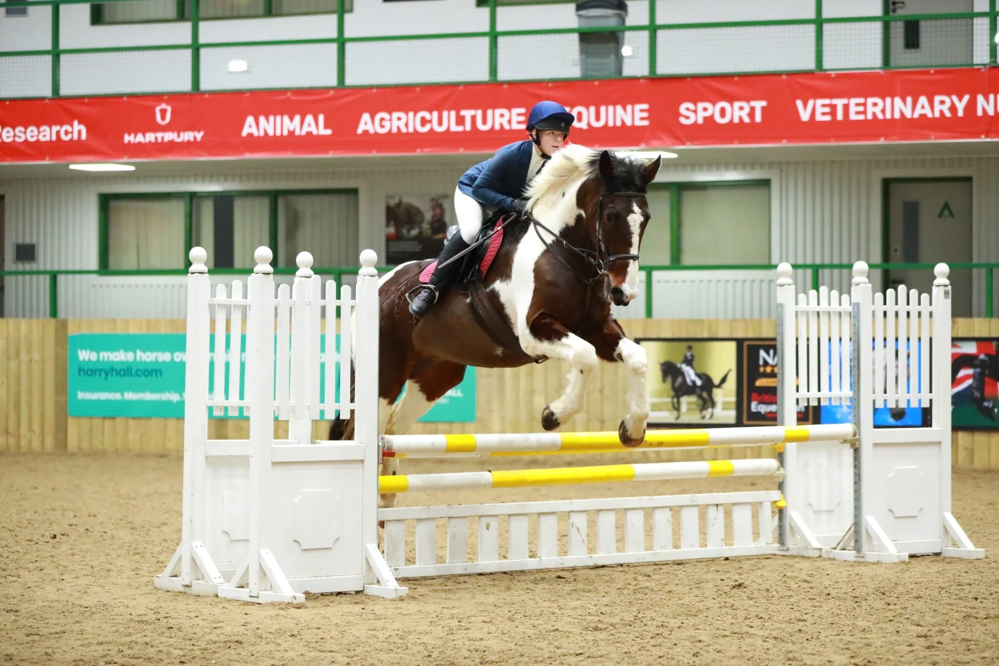 The Team — Greenhill Equitation